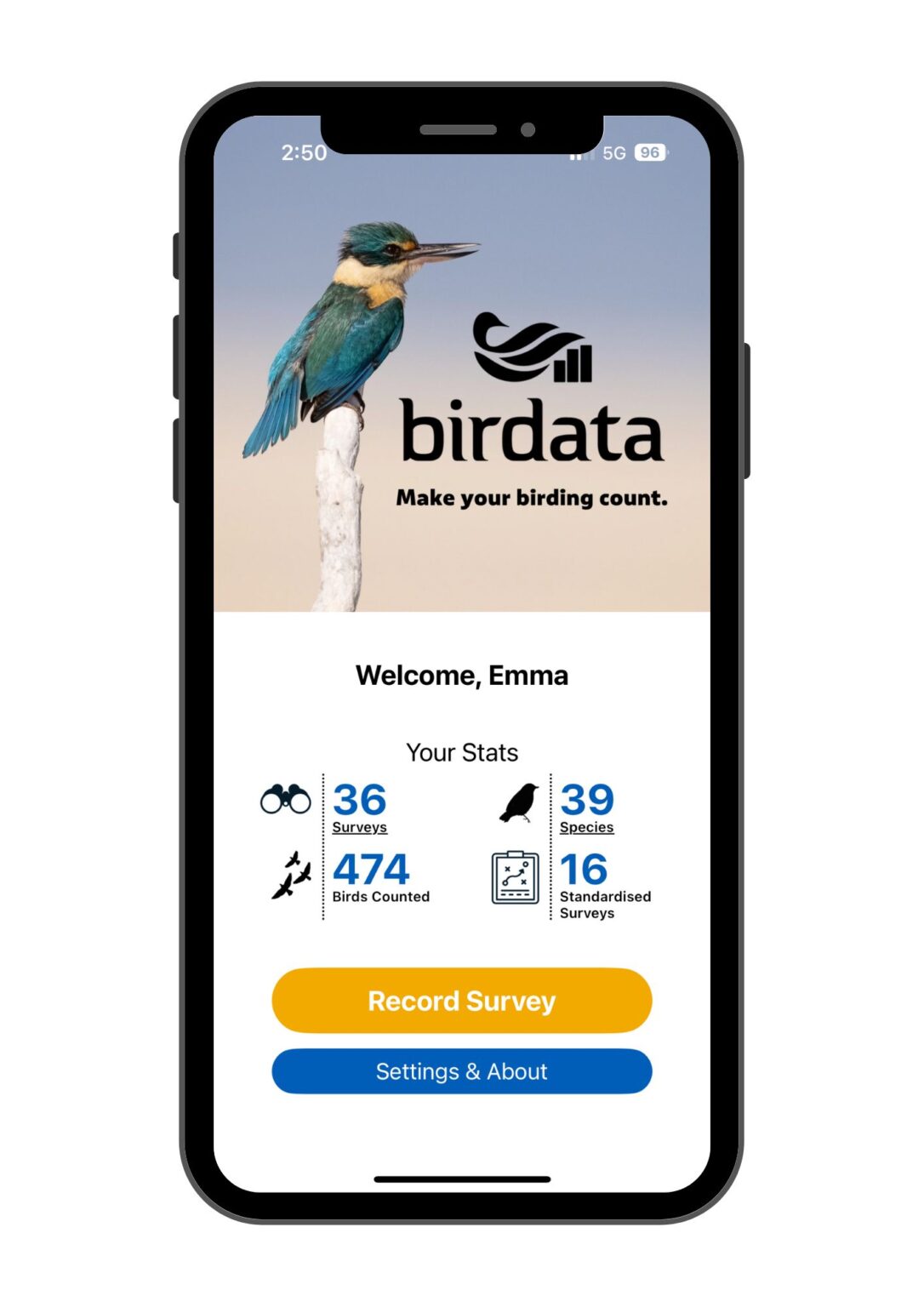 How to Get Started in Birdata - Birdata